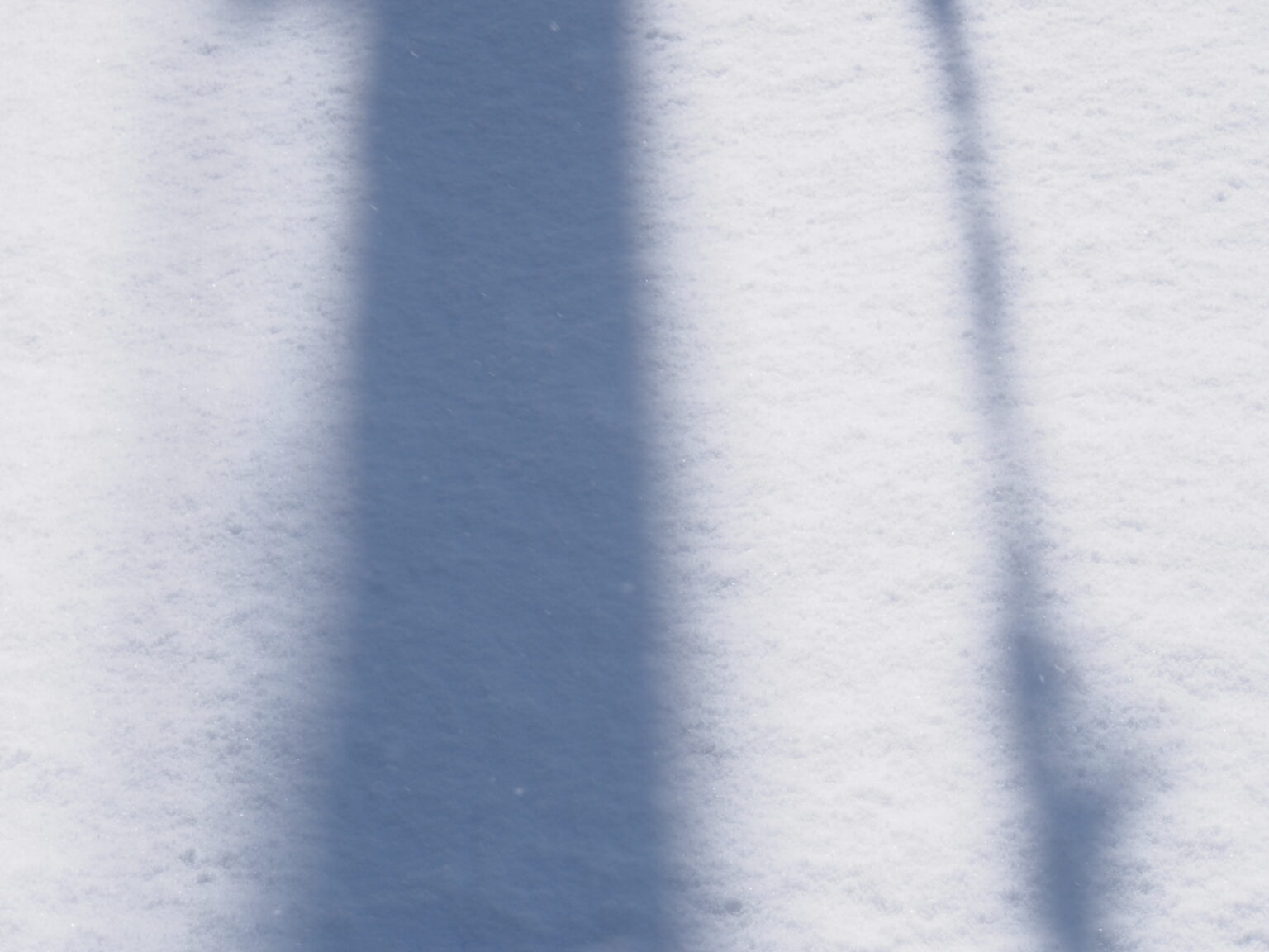 札幌市内の「雪」を「地域ごと」に考える【雪の多い所・少ない所】 奈良まちジオグラフィック